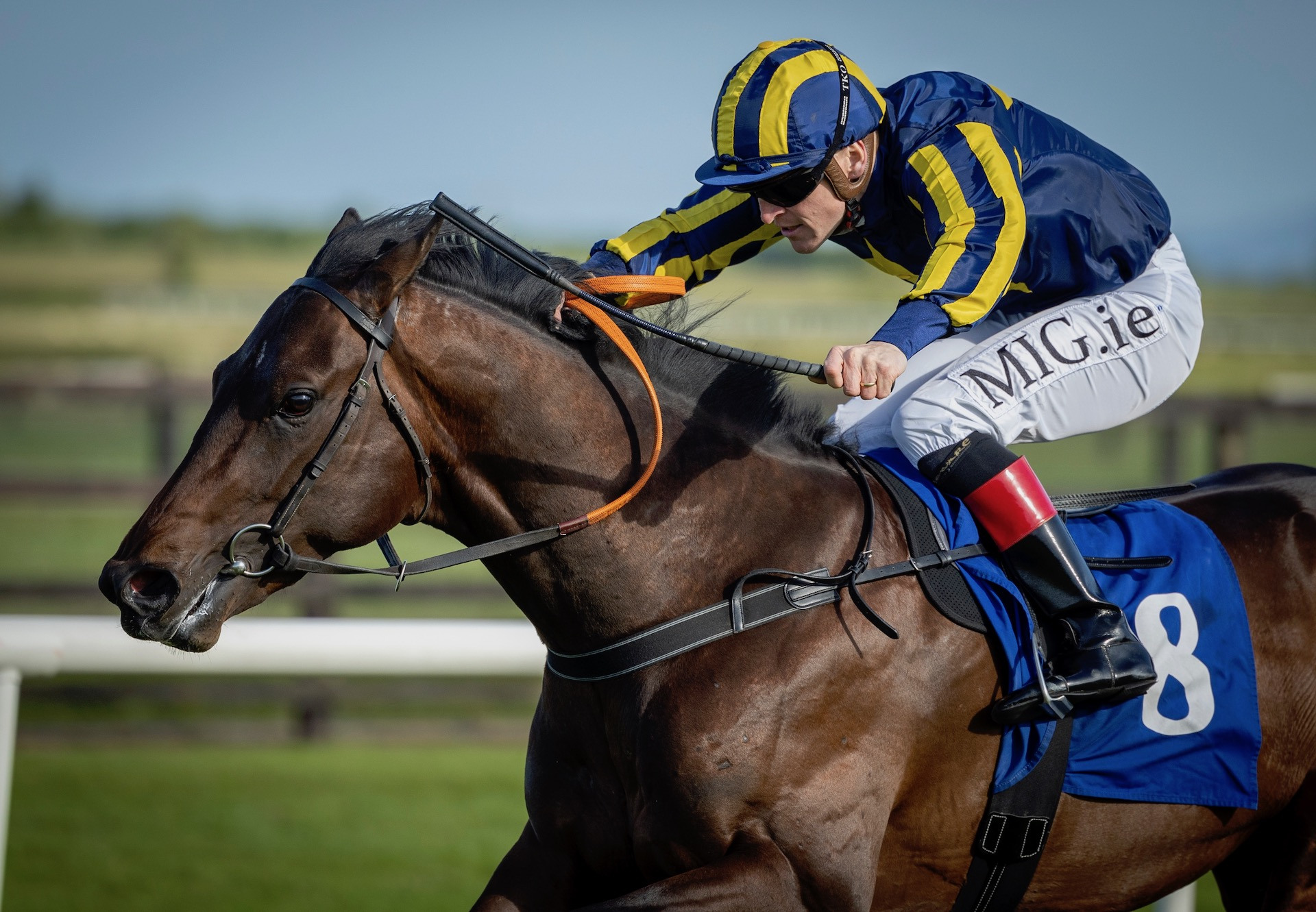 Pearling Path provides O'Donoghue Racing with their first 2YO winner - OSL