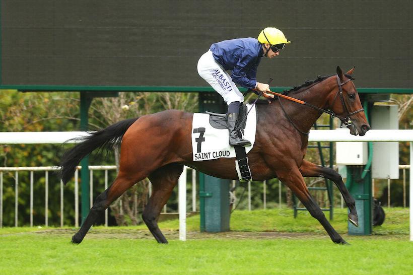 Broodmare Success For OSL Courtesy of Alcantor - OSL